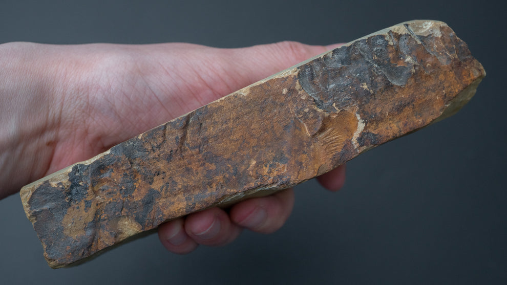 Morihei Nakayama Natural Stone Koppa (No.309) – ひとひら | HITOHIRA