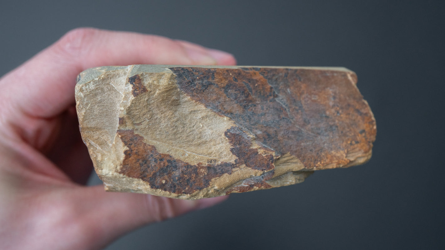 Morihei Nakayama Natural Stone Koppa (No.309) – ひとひら | HITOHIRA